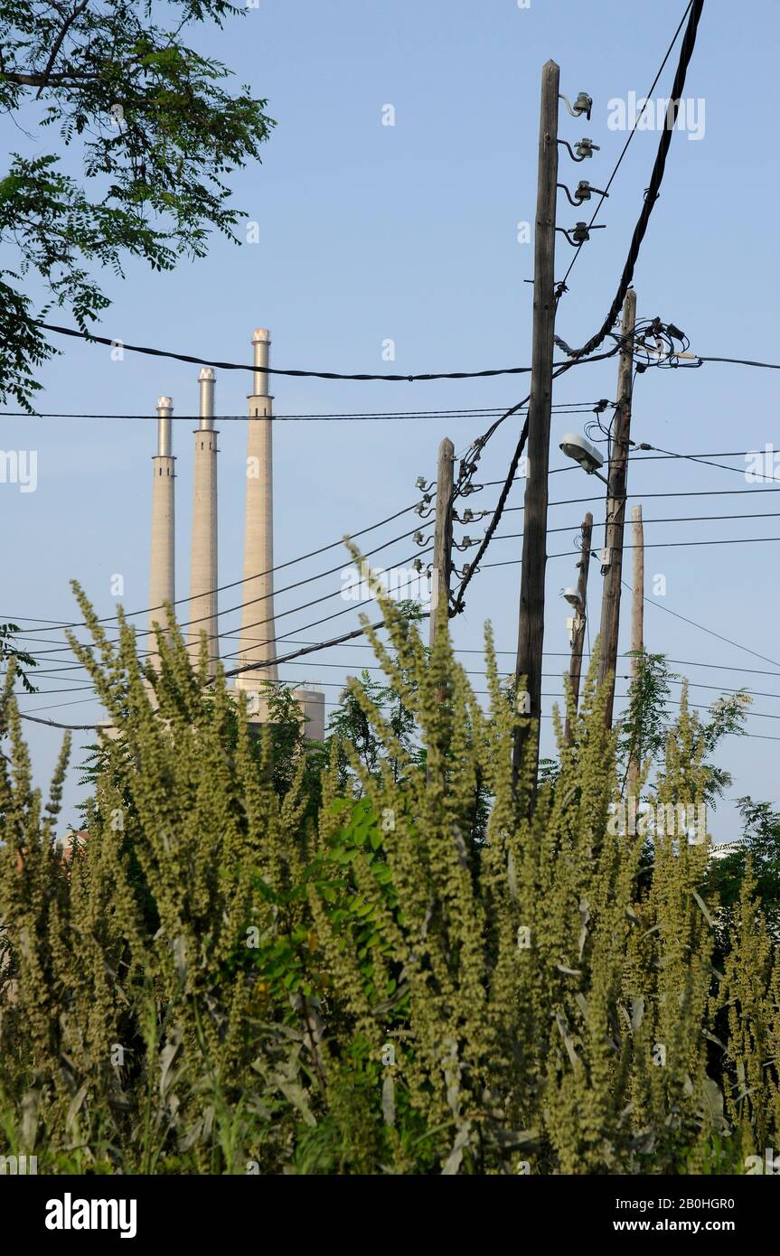 Besos river, Sant Adrià del Besos, Barcelona Stock Photo - Alamy
