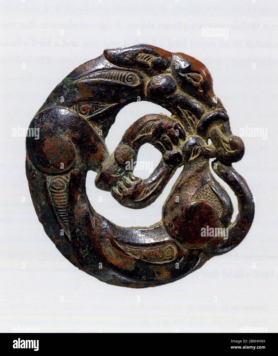 Coiled wolf hi-res stock photography and images - Alamy