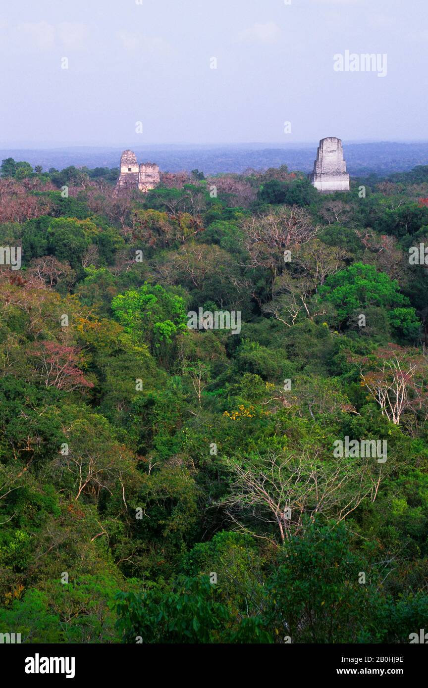 GUATEMALA, TIKAL, VIEW OF TEMPLE III (RIGHT), TEMPLE II AND TEMPLE I ...