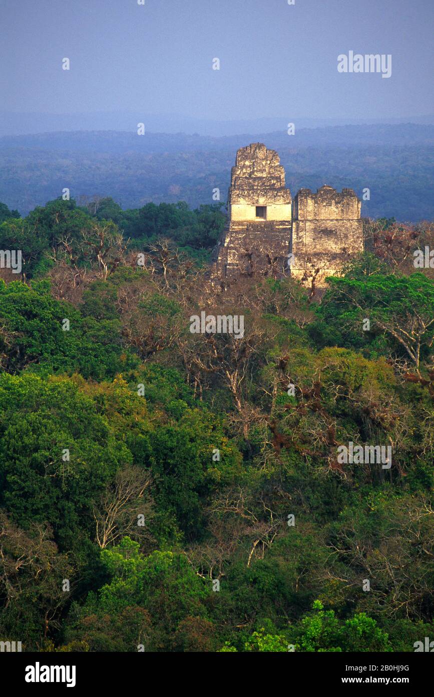 GUATEMALA, TIKAL, VIEW OF TEMPLE II AND TEMPLE I FROM TEMPLE IV Stock ...