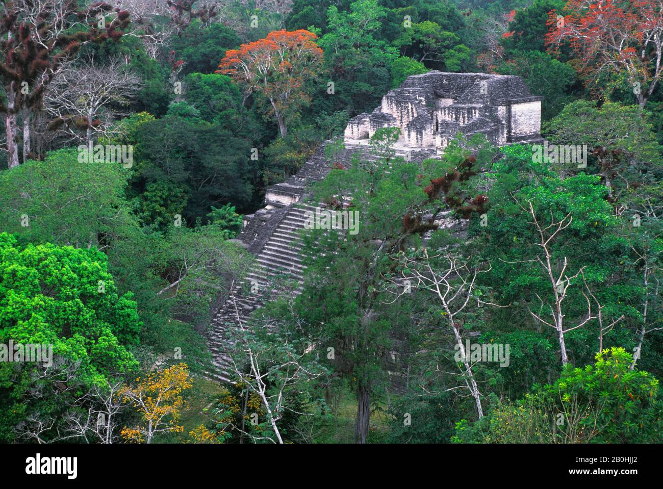 GUATEMALA, TIKAL, MUNDO PERDIDO AREA, VIEW OF PYRAMID 5C-49, 250-300 A ...