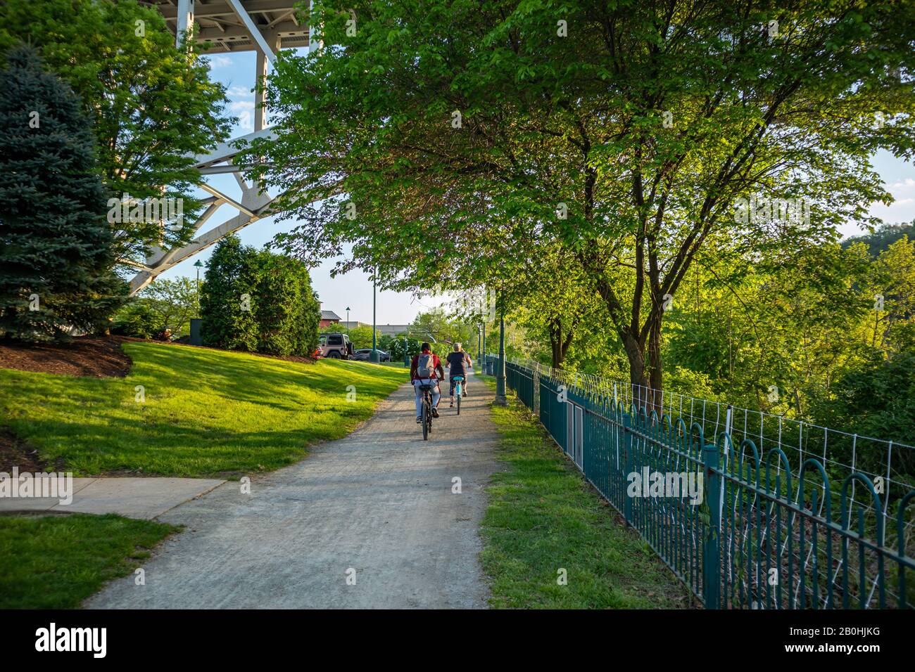 People riding bikes on a path, under green trees in spring. A place for ...