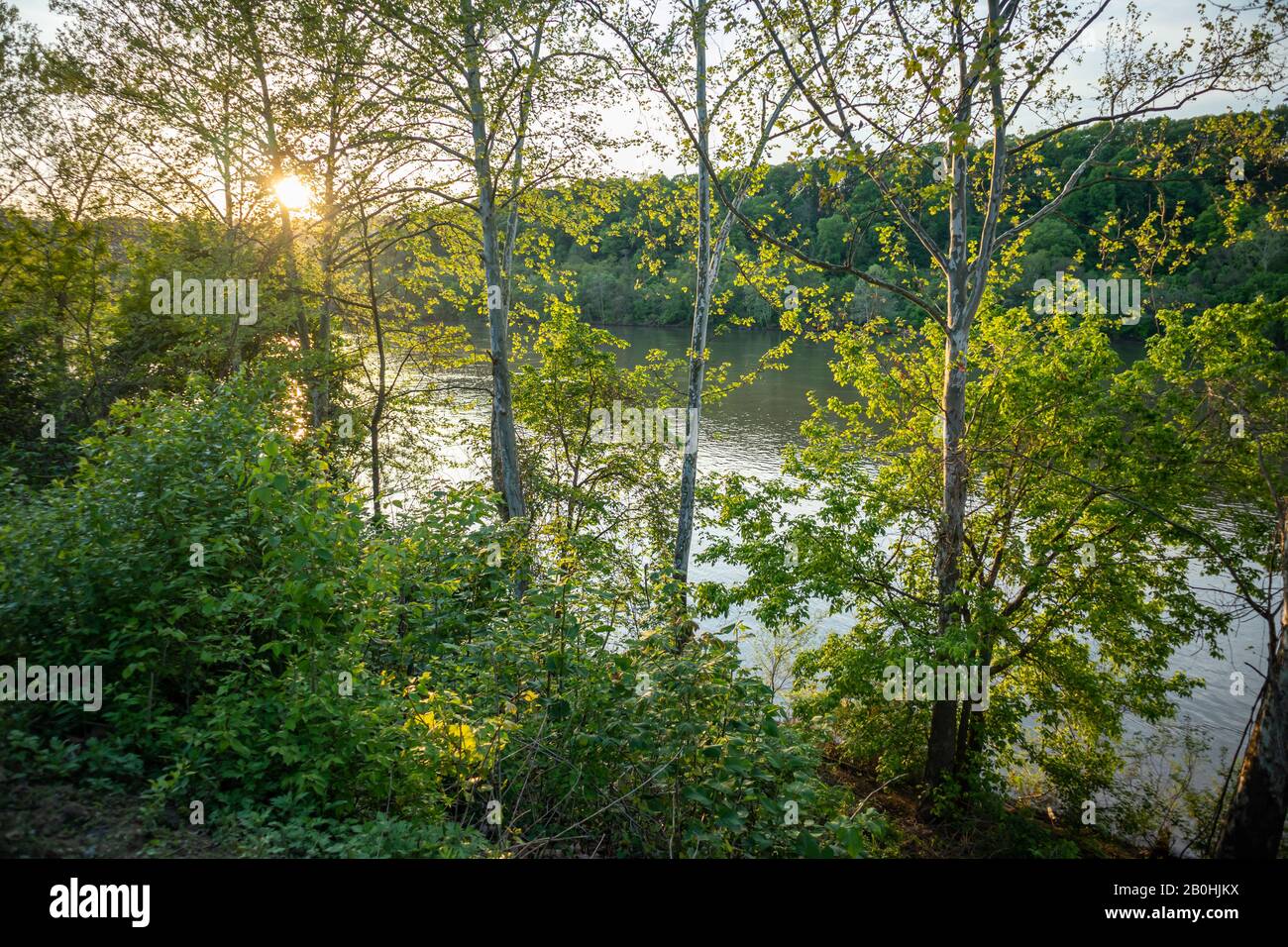 Spring activities hi-res stock photography and images - Alamy