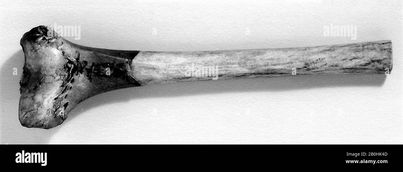 Bone trumpet tibet hi-res stock photography and images - Alamy