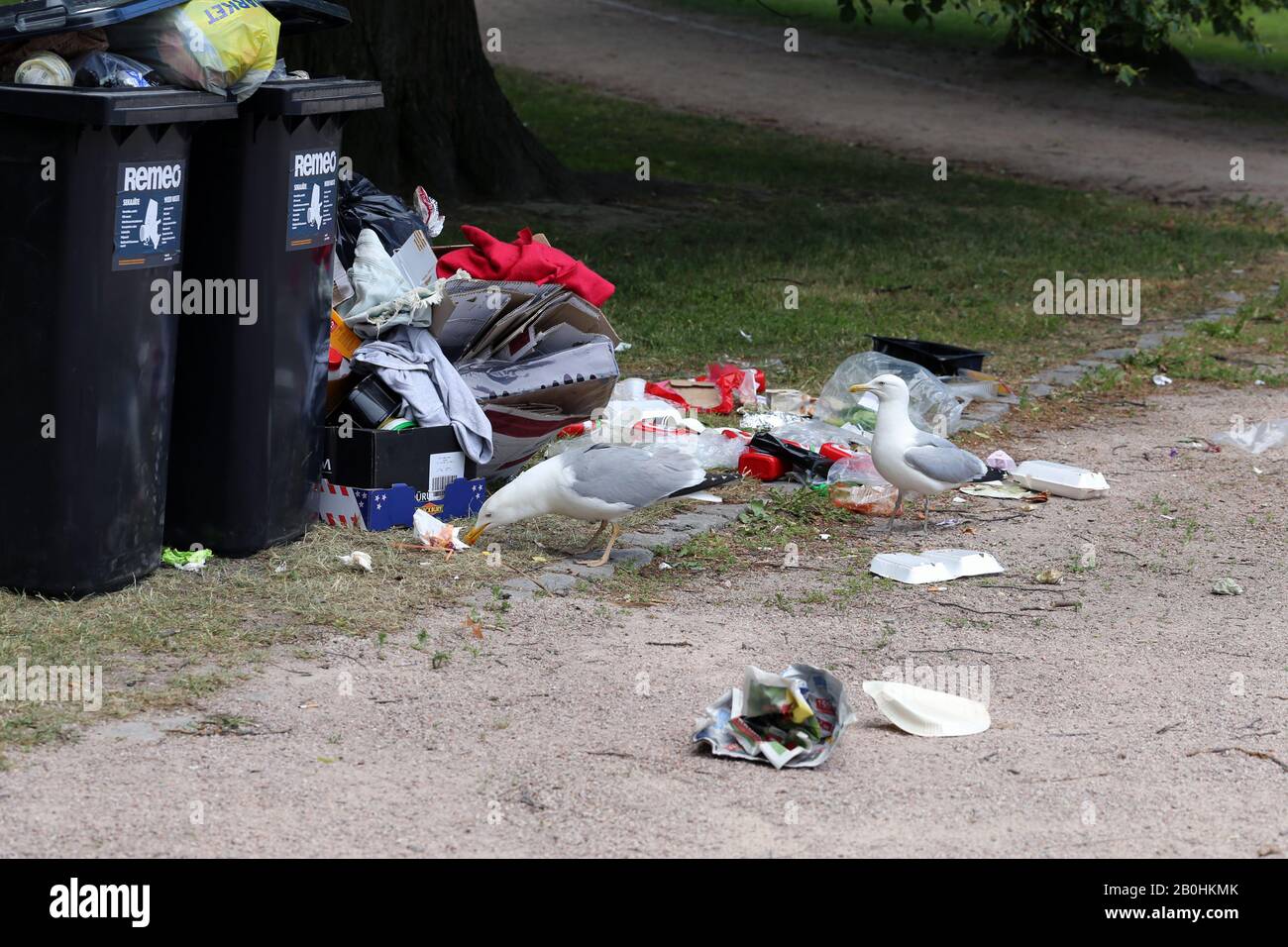 Garbage after parade hi-res stock photography and images - Alamy