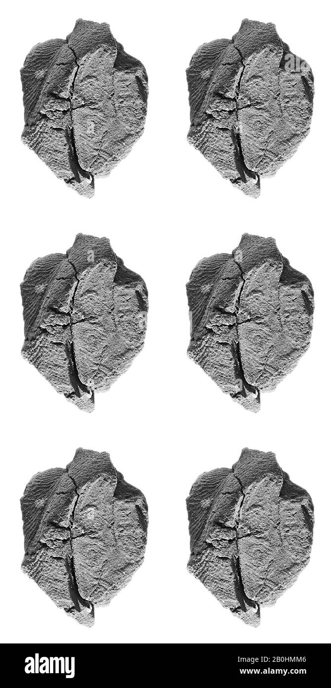 Sealing, Middle Kingdom, Dynasty 12–13, ca. 1981–1640 B.C., From Egypt ...