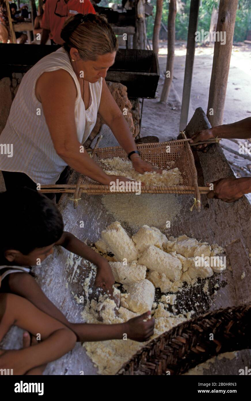 BRAZIL, AMAZON RIVER, CABOCOLO SETTLEMENT, MANIOC (CASAVA) PULP BEING ...