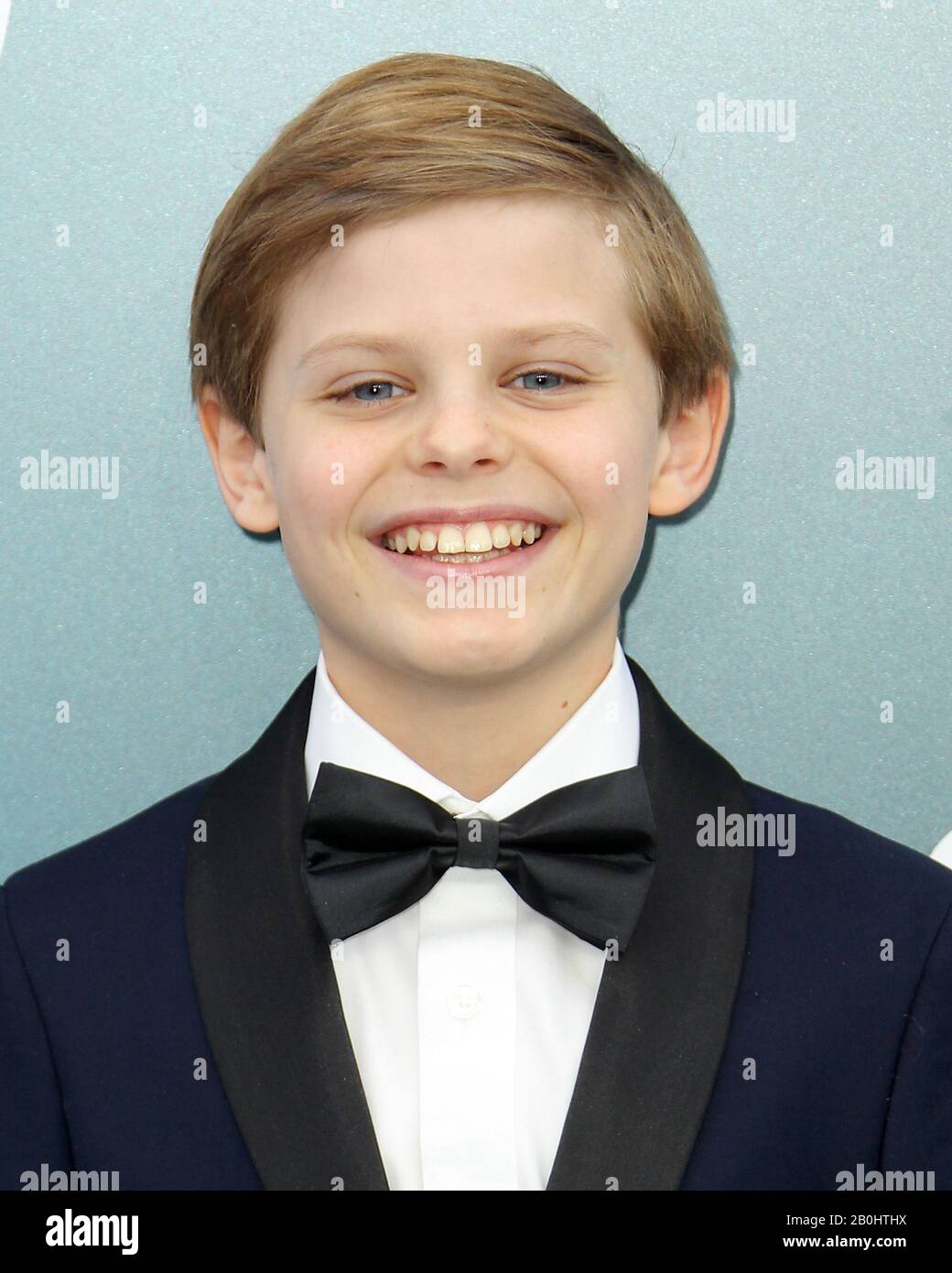 26th Annual SAG Awards Arrivals 2019 held at Shrine Auditorium in Los ...