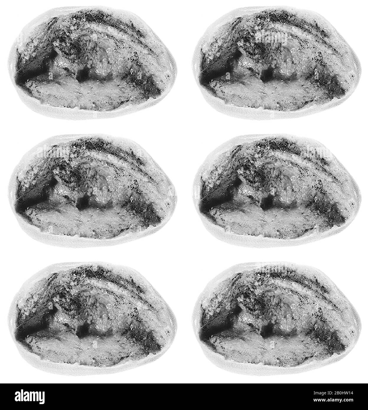 12 x 16 2 cm Cut Out Stock Images & Pictures - Alamy