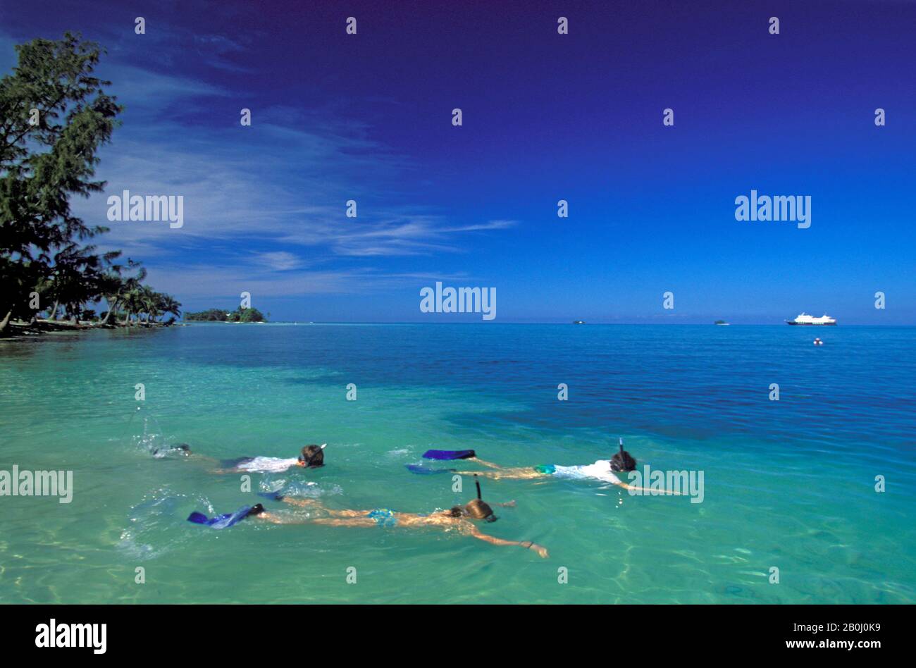 HONDURAS, BAY ISLANDS, UTILA ISLAND, M/V NANTUCKET CLIPPER, TOURISTS ...