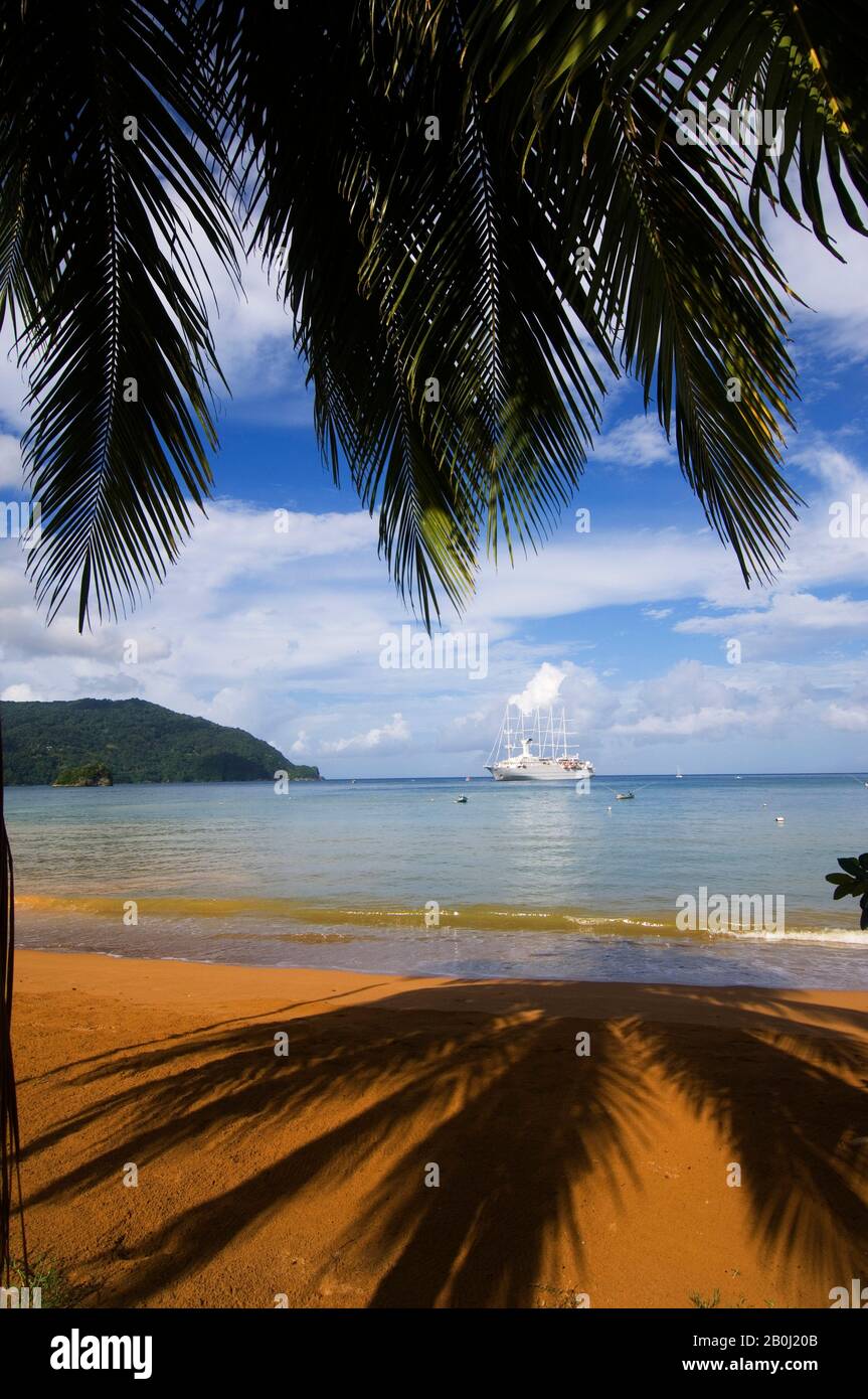 Coconut tree beach cruise ship hi-res stock photography and images - Alamy