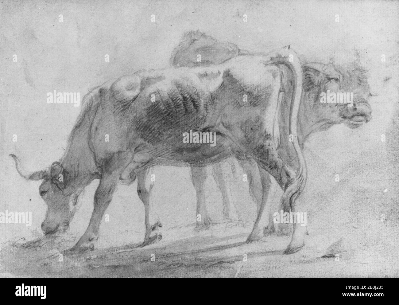 Charles catton jr hi-res stock photography and images - Alamy