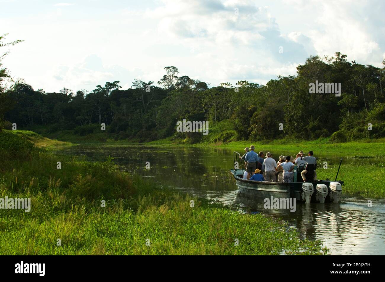PERU, AMAZON BASIN, UCAYALI RIVER, SMALL TRIBUTARY, TOURISTS BIRD ...