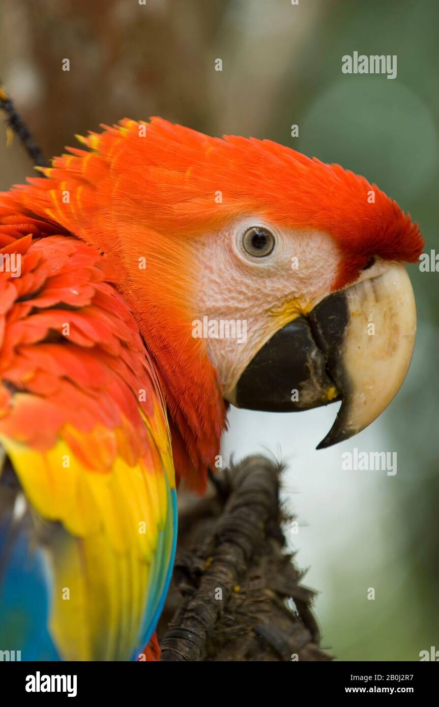 Marañon basin peru hi-res stock photography and images - Alamy