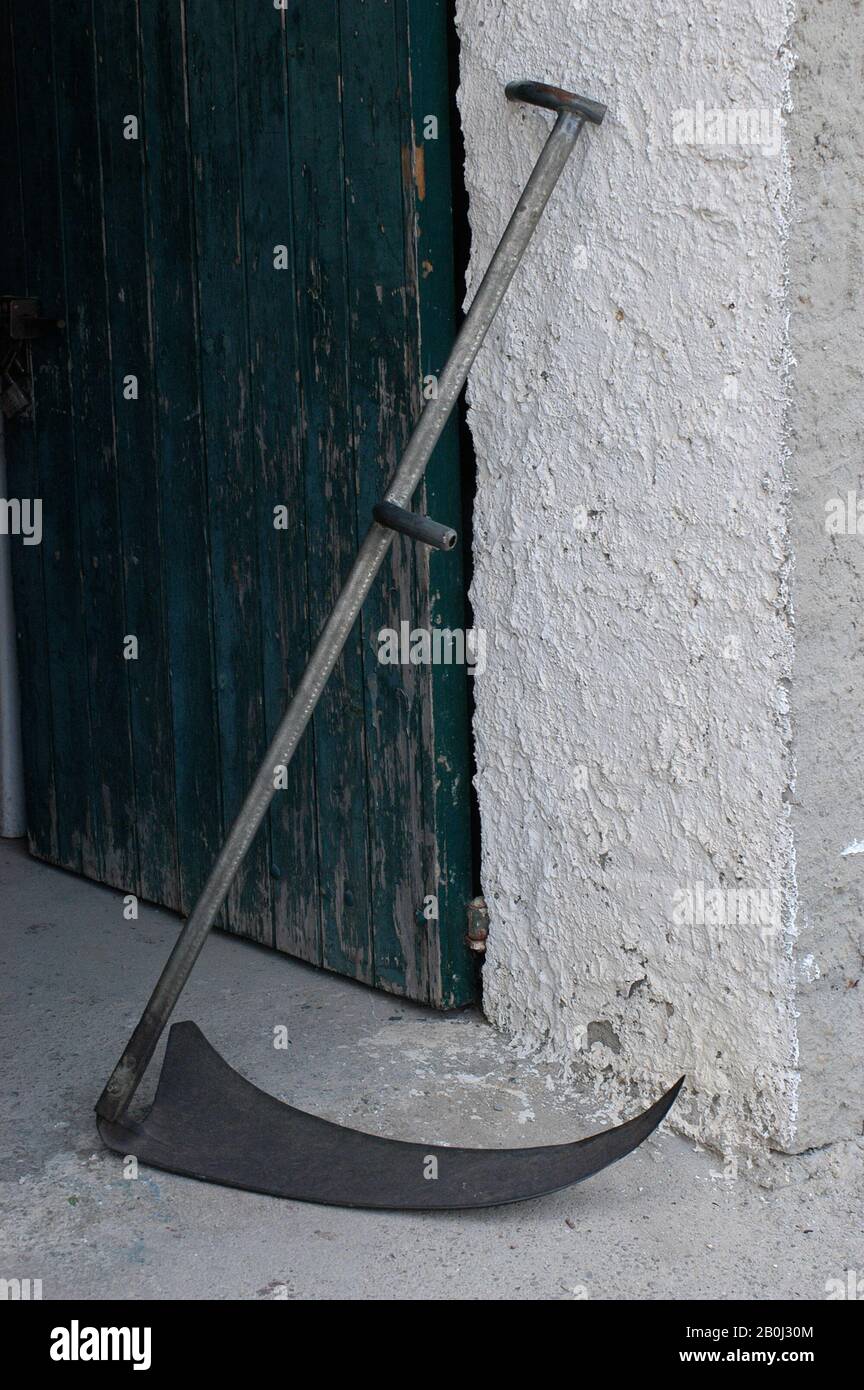 sickle agricultural tool made of iron Stock Photo - Alamy
