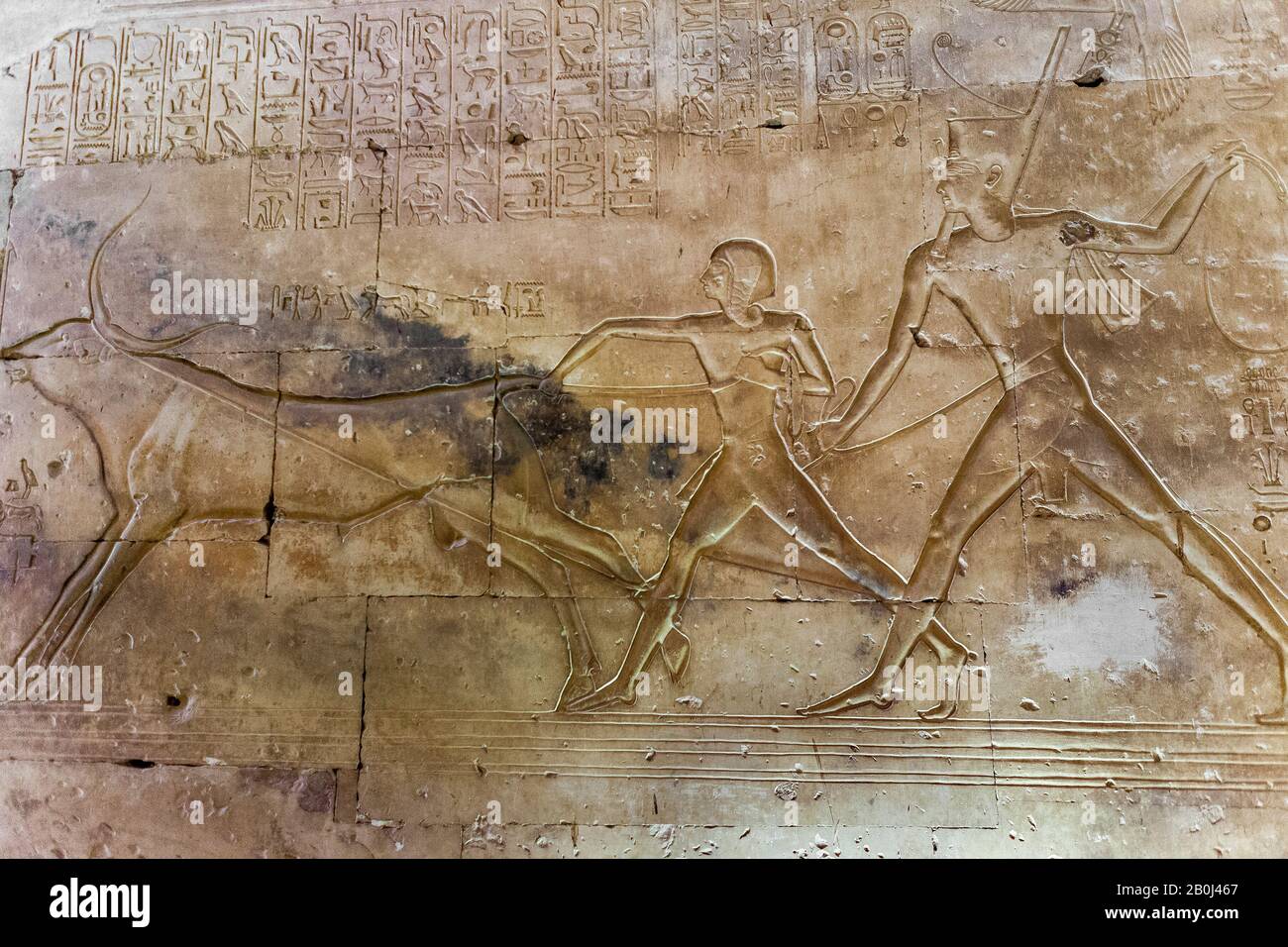 King Seti I lassoing a sacrificial bull held by his son Stock Photo - Alamy