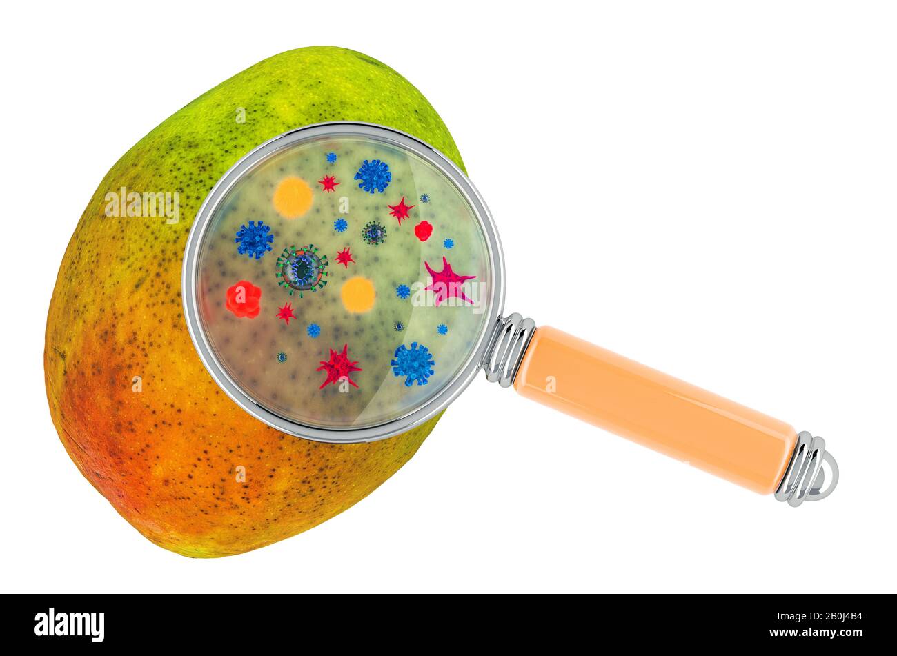 Mango with germs, microbes or viruses under magnifying glass, 3D ...