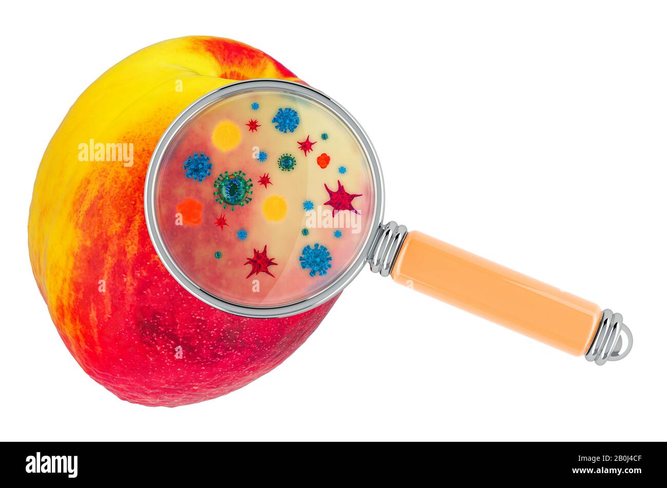 Nectarine or peach with germs, microbes or viruses under magnifying ...