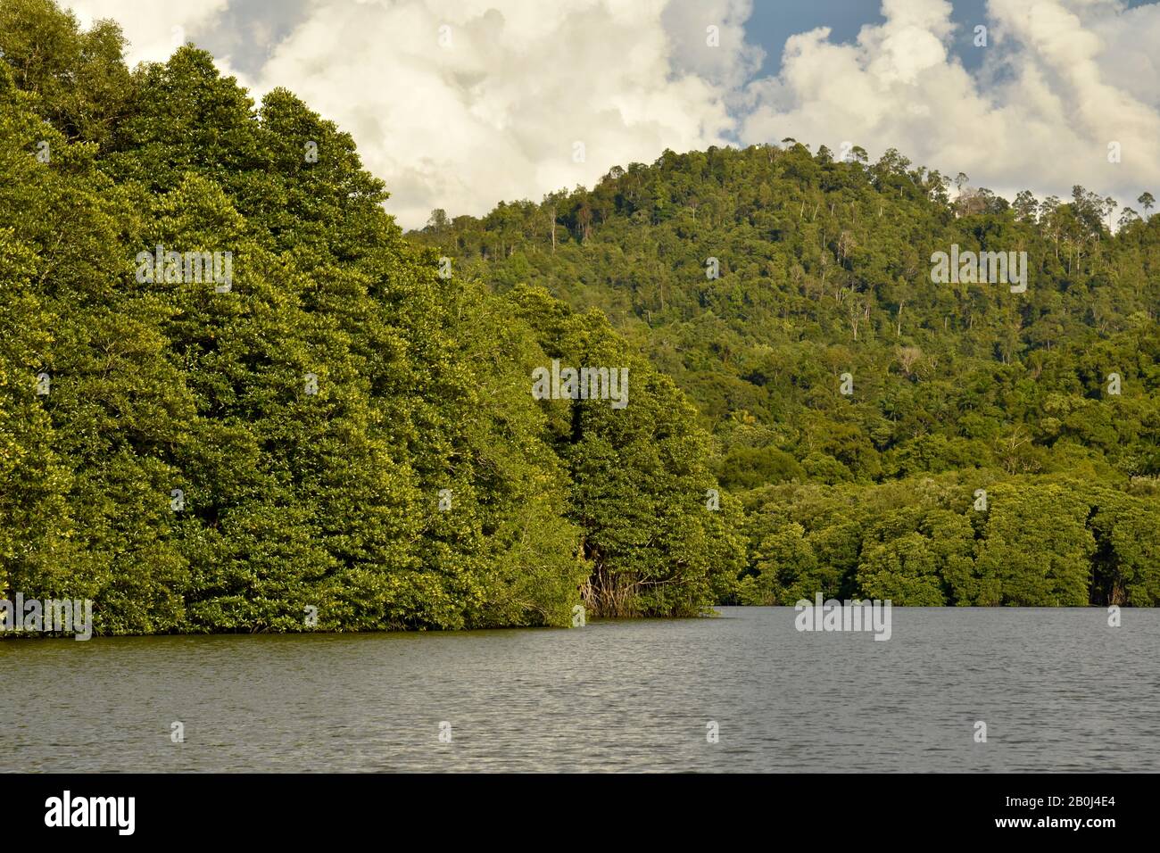 Brunei river hi-res stock photography and images - Alamy