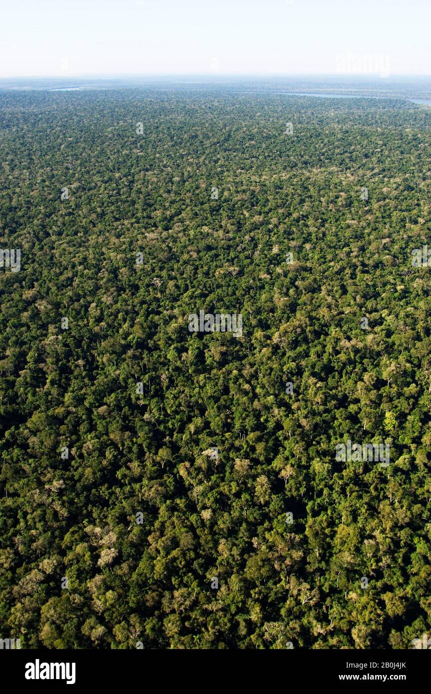 BRAZIL, IGUASSU NATIONAL PARK, AERIAL VIEW OF SUBTROPICAL FOREST NEAR ...