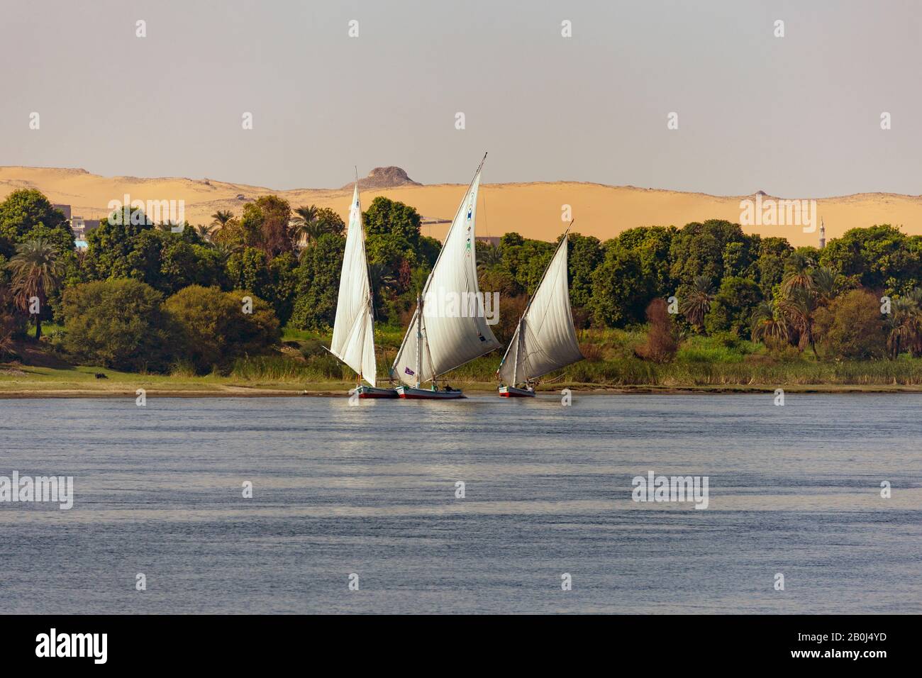 Traditional feluccas on the River Nile, Aswan, Egypt Stock Photo - Alamy