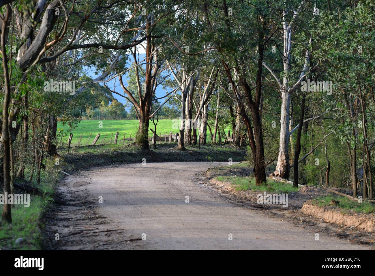 A dirt road curves through farm land in the Megalong Valley Stock Photo ...