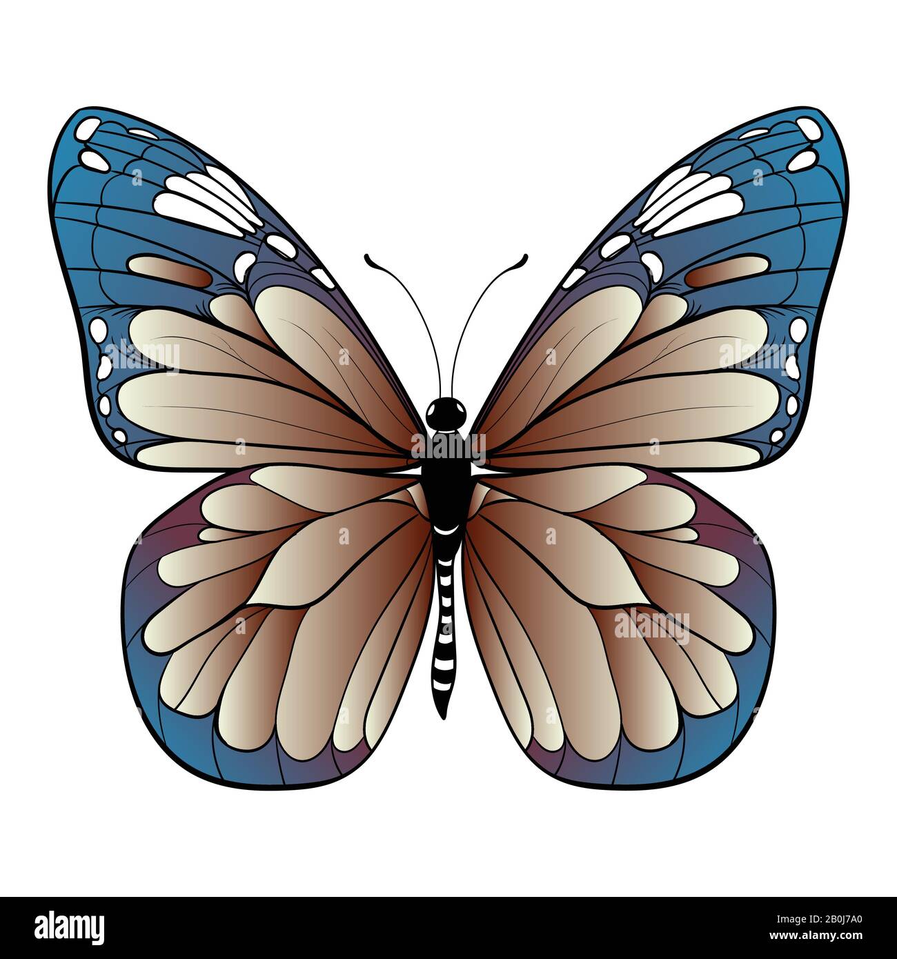 colourful butterfly on white background Vector illustration Stock ...