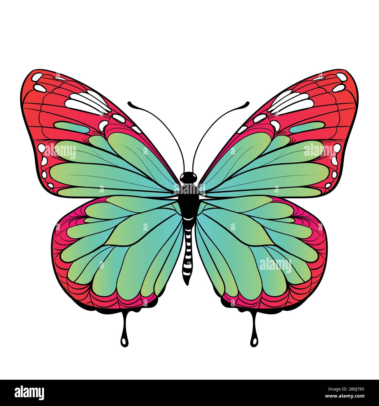 colourful butterfly on white background Vector illustration Stock ...