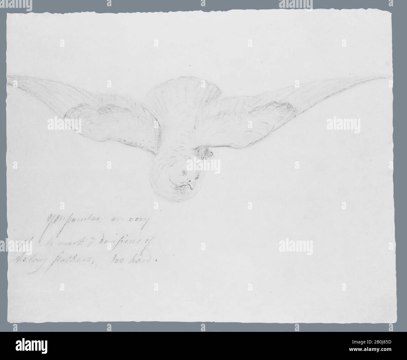 Graphite drawings hi-res stock photography and images - Alamy