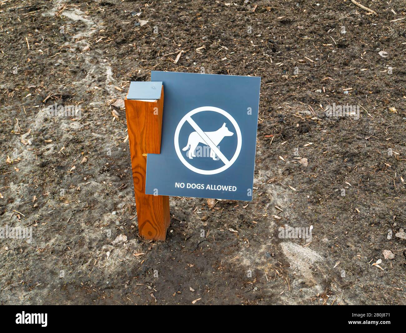 A dog walking sign is prohibited in a public park Stock Photo - Alamy