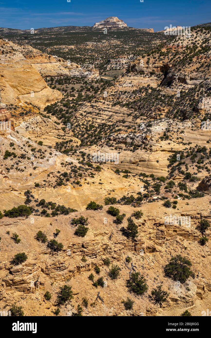 Arid desert devils hi-res stock photography and images - Alamy