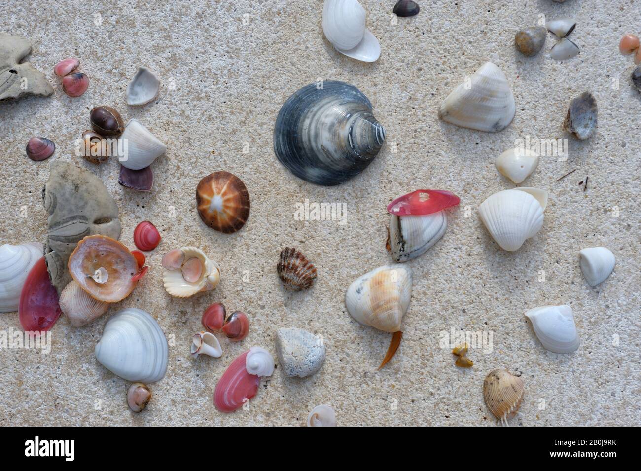 COSTA RICA, NEAR JACO, HOTEL MONTEREY DEL MAR, SWIMMING POOL, SEASHELLS ...
