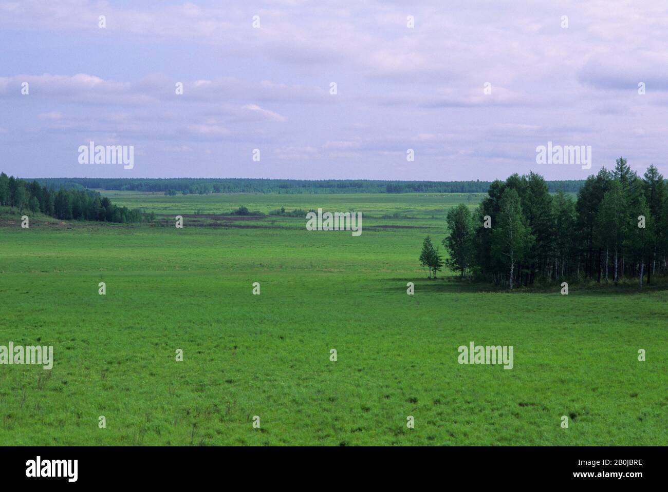 Russian taiga hi-res stock photography and images - Alamy