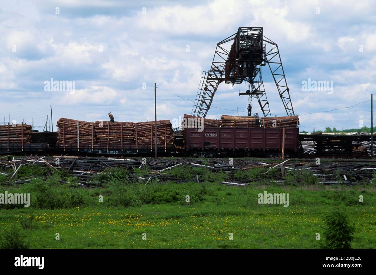 Logs train hi-res stock photography and images - Alamy