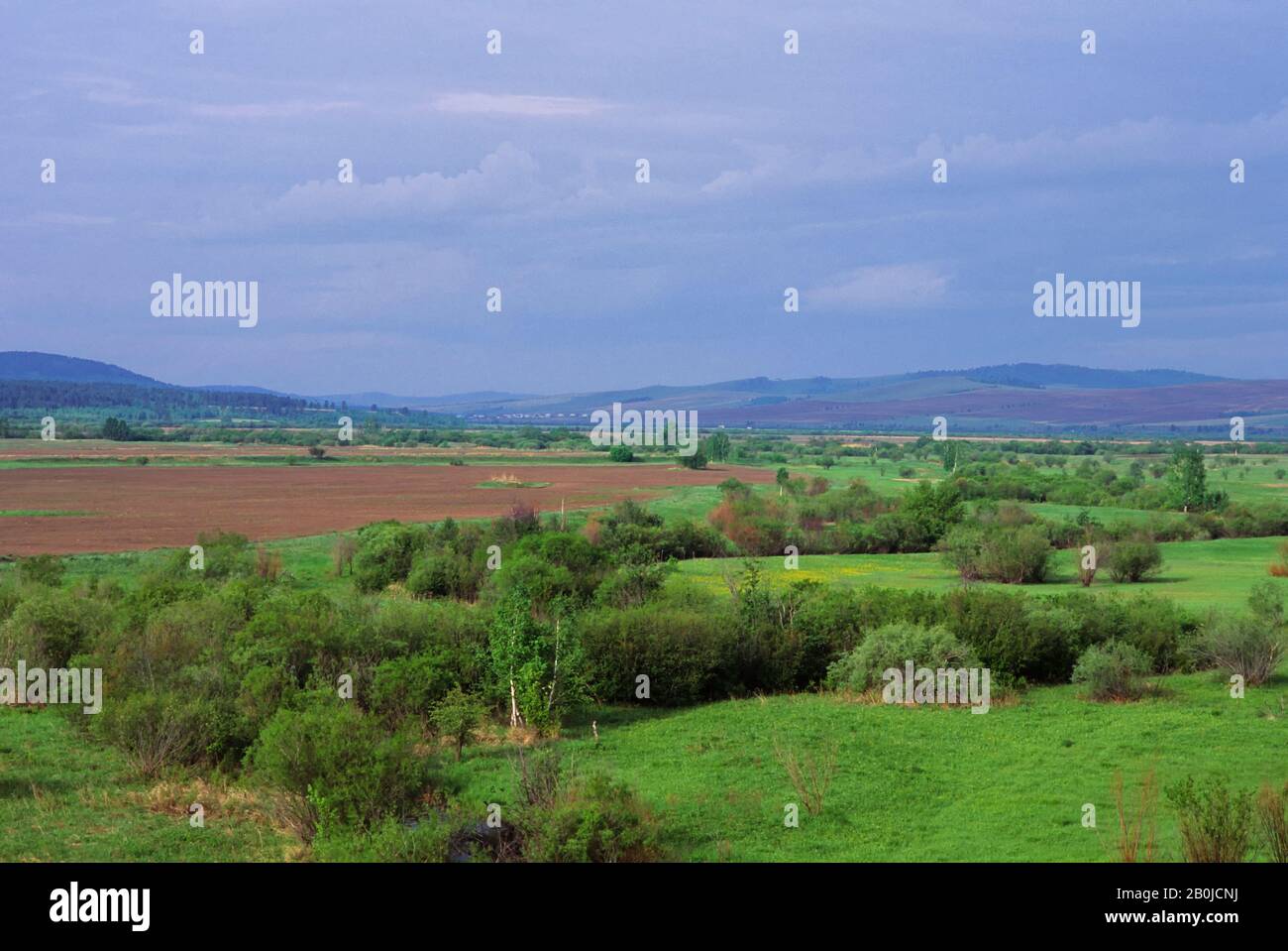 Siberian farm hi-res stock photography and images - Alamy