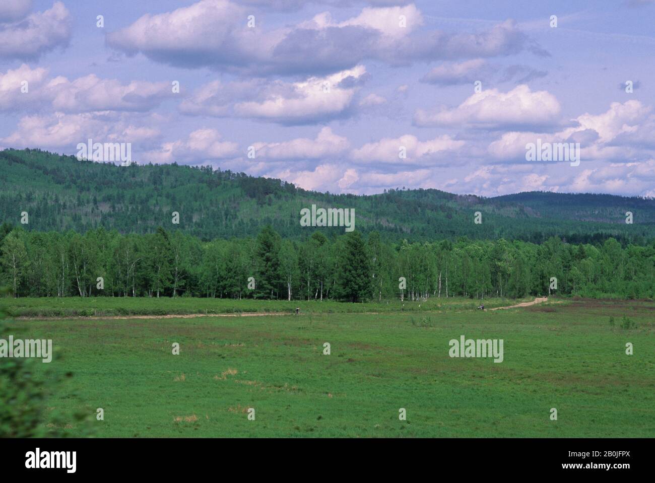 Siberia yerofei pavlovich hi-res stock photography and images - Alamy