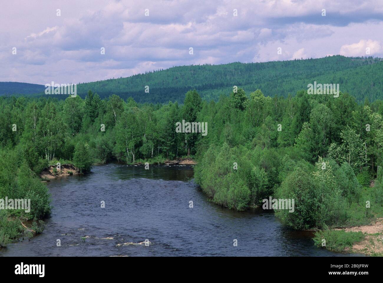 RUSSIA, SIBERIA, NEAR YEROFEI PAVLOVICH, TAIGA FOREST WITH RIVER Stock ...