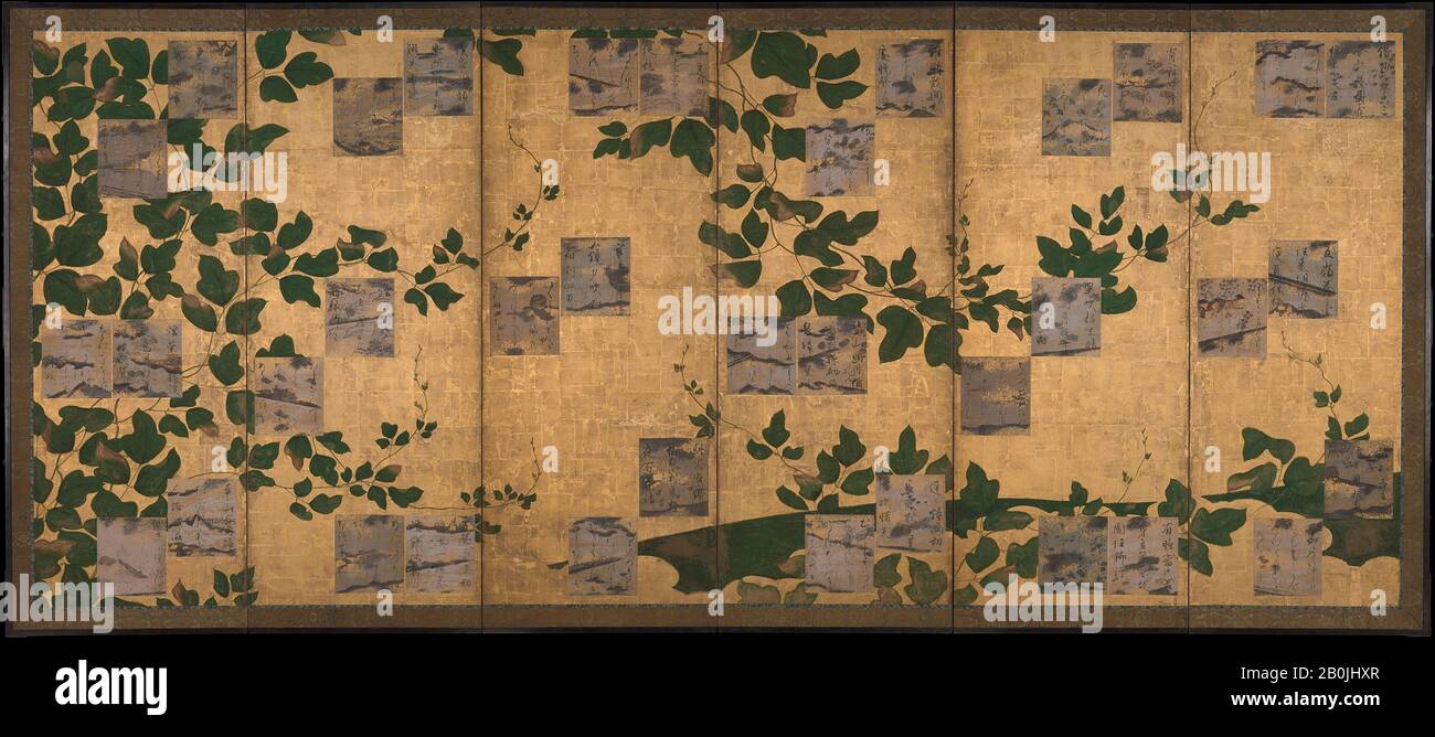 Arrowroot vines hi-res stock photography and images - Alamy