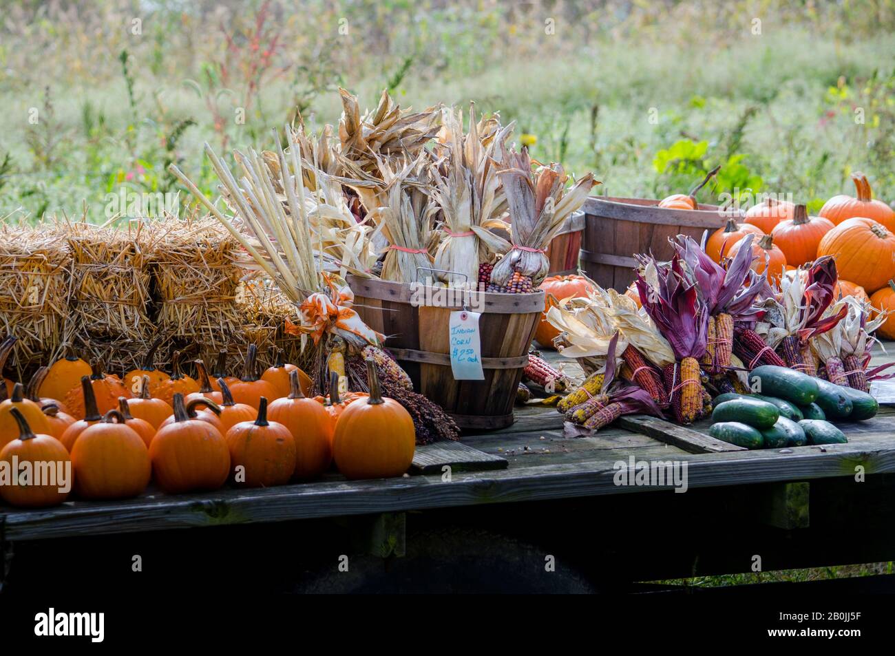 Country roadside stand on a flat bed trailer, holds indian corn ...