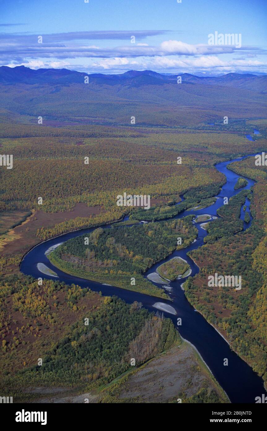 RUSSIA, KAMCHATKA, VIEW OF FOREST AND RIVER BETWEEN AVACHA AND ...