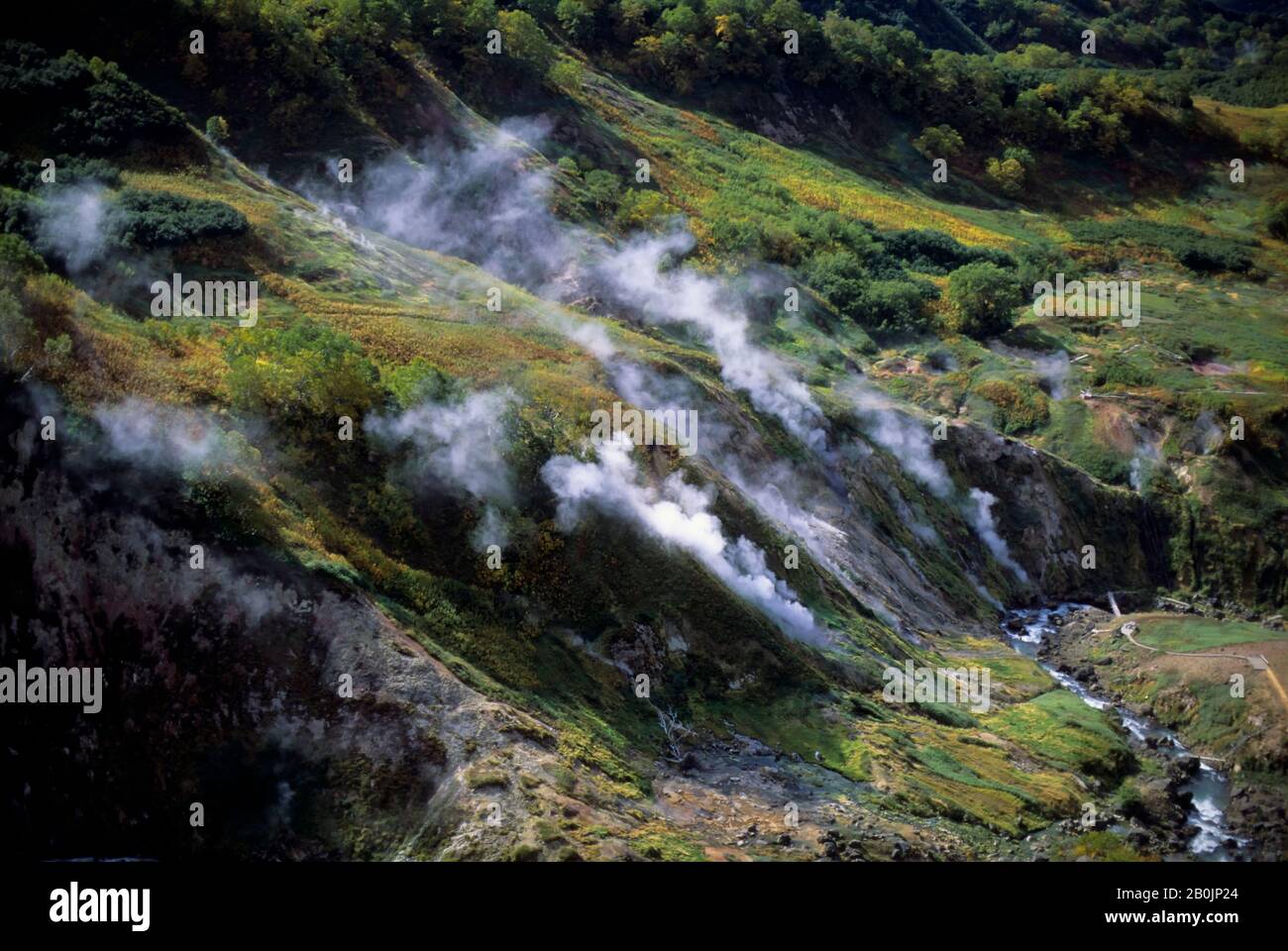 RUSSIA, KAMCHATKA, VIEW OF VALLEY OF THE GEYSERS Stock Photo - Alamy