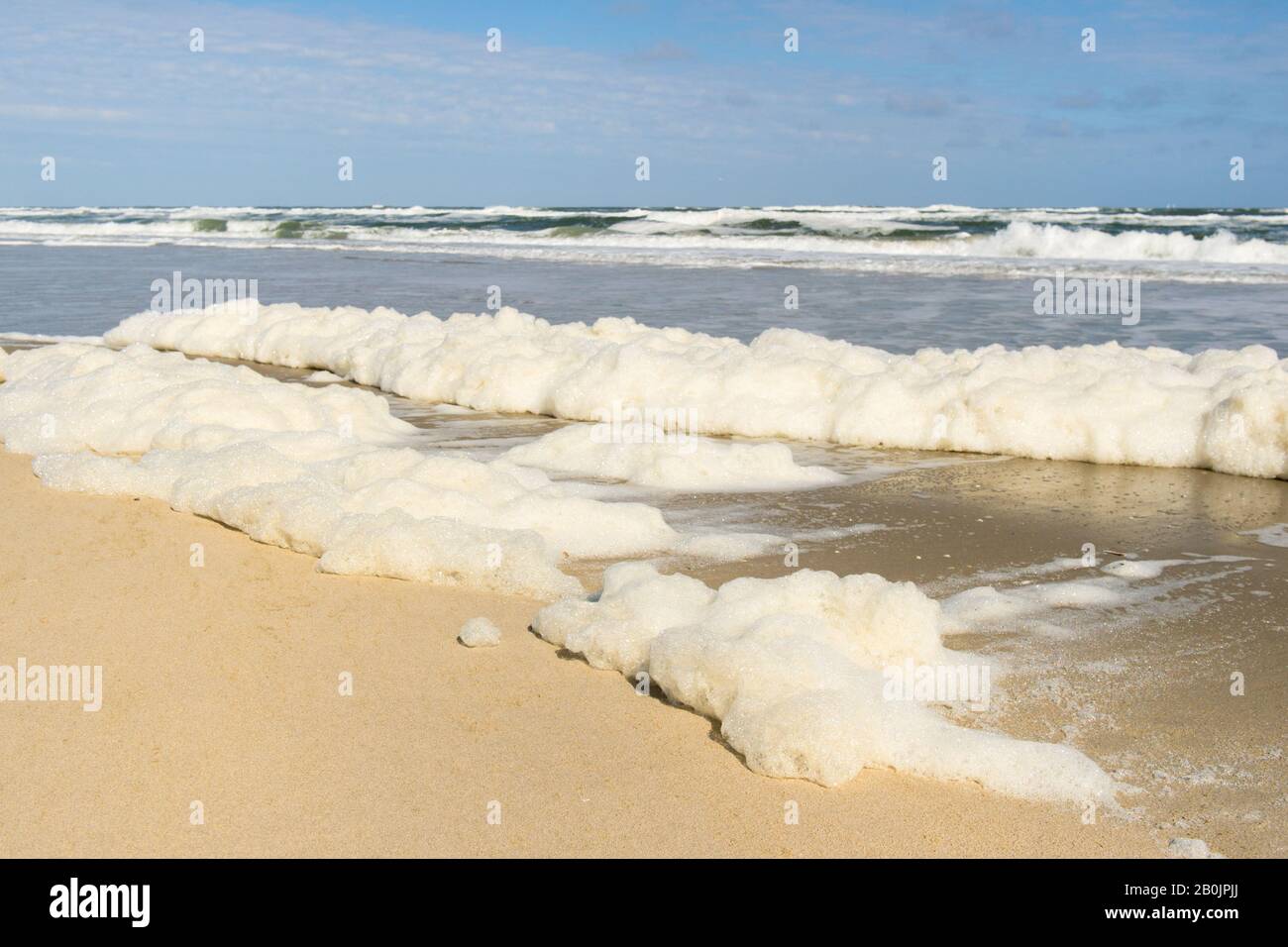 sea foam at the water line Stock Photo - Alamy