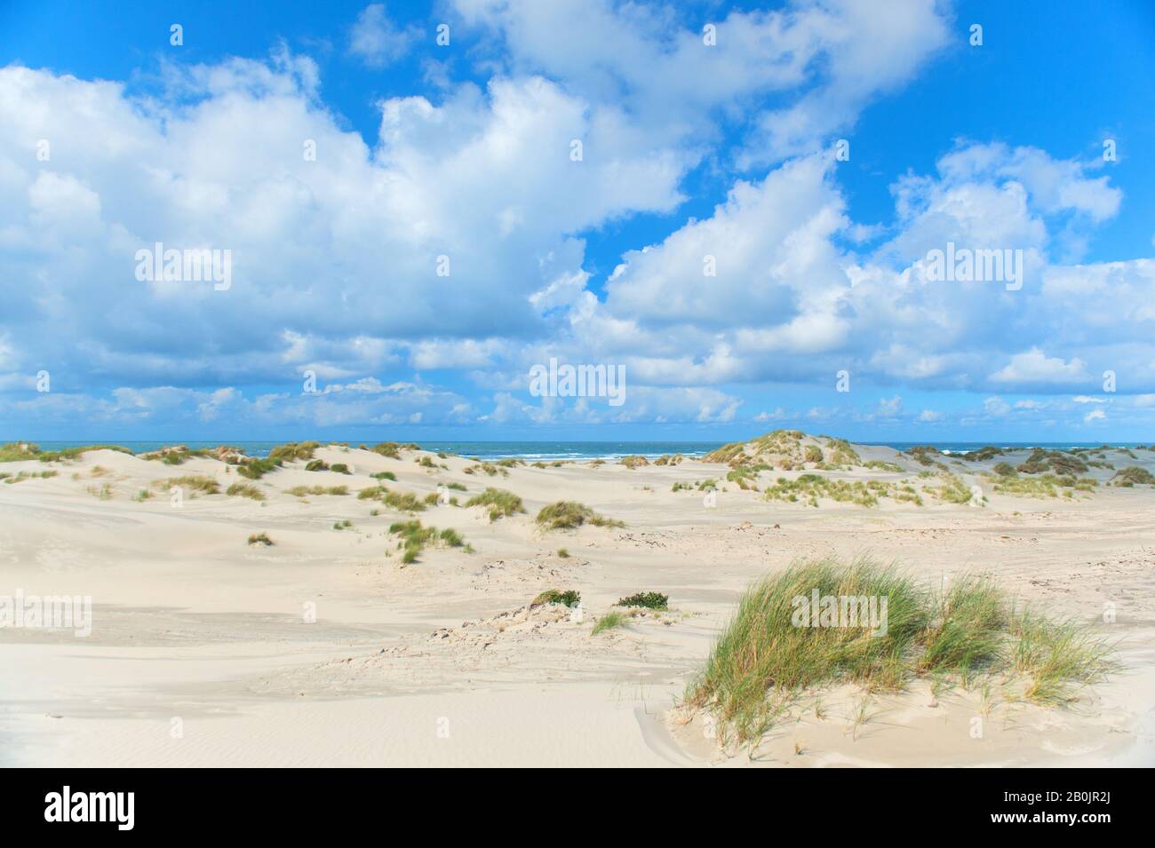 Landscape dunes in front of empty beach at Dutch island Terschelling ...