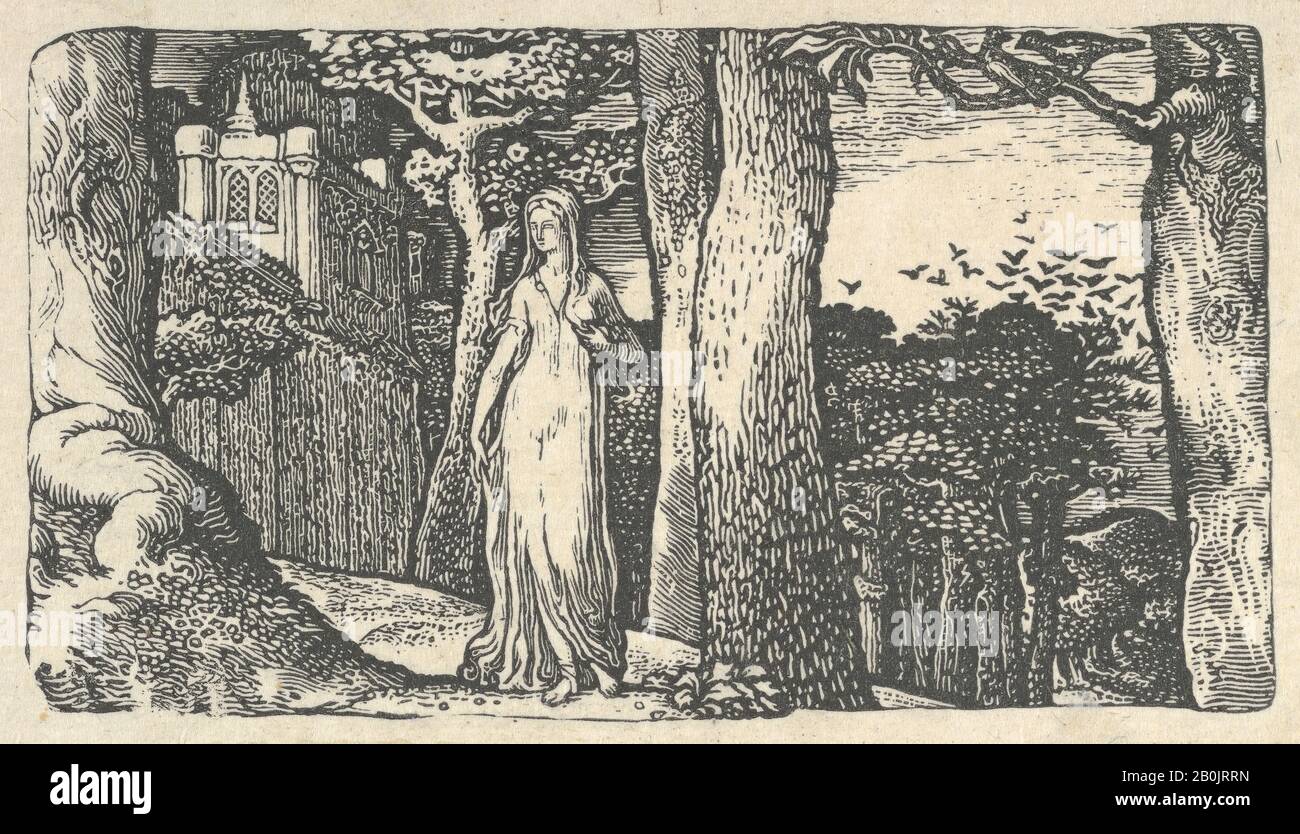 Devon 1799 1833 hackney hi-res stock photography and images - Alamy