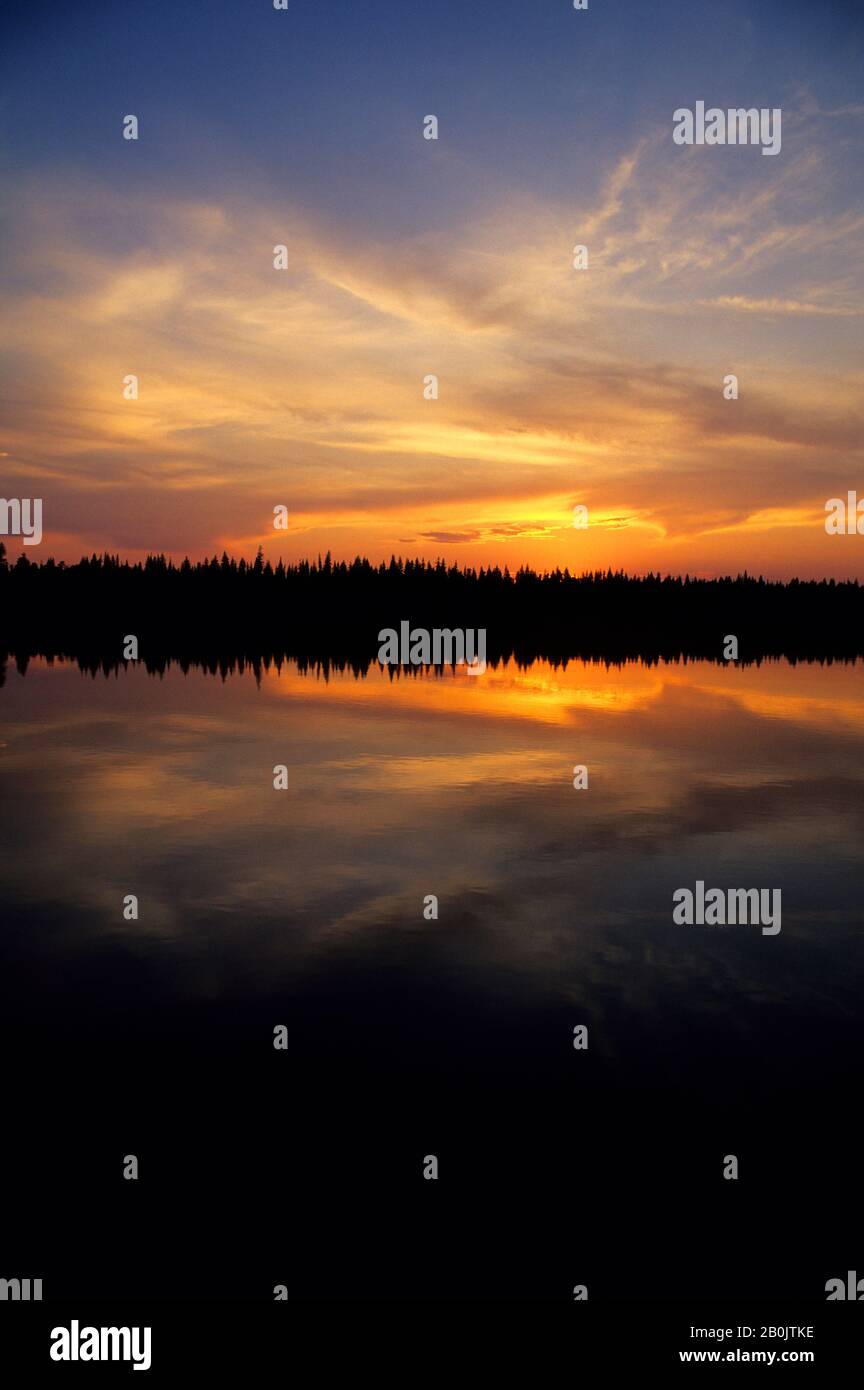 Yenisei forest hi-res stock photography and images - Alamy