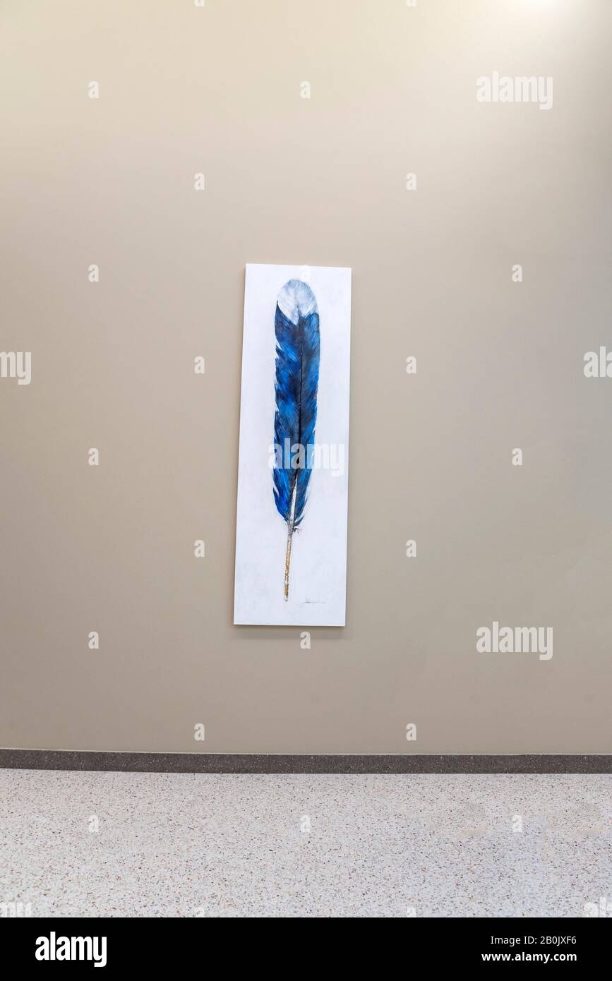 Feather painting hanging on wall of an office building Stock Photo - Alamy