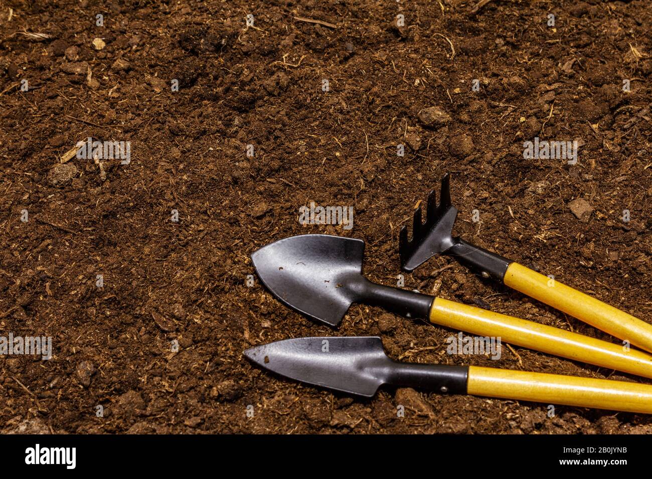 Garden tools on soil background. Plant care concept. Shovels and rake ...