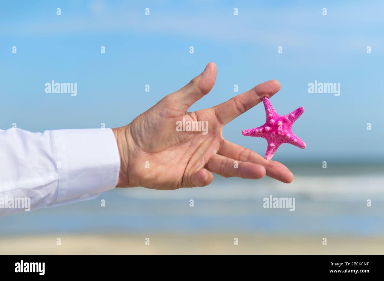 Star ish hi-res stock photography and images - Alamy