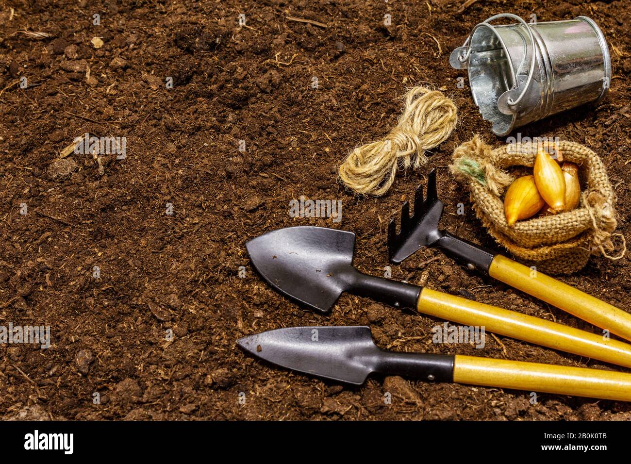 Garden tools on soil background. Plant care concept. Shovels and rake ...