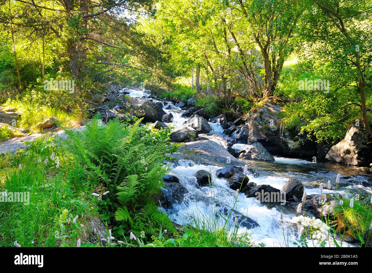 landscape with mountains, forest and a river in front. beautiful ...